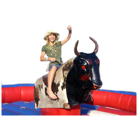 The Various Types And Classifications Of Premium Mechanical Bull Rides ...